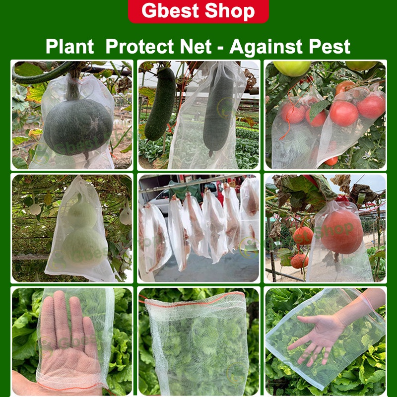 Insect Net Fruit Wrapping Protection Bag Cover Mesh Pouch Nylon Garden ...