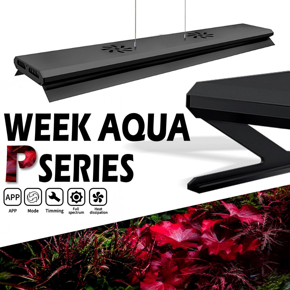 Ready Stock Week Aqua P Series Pro (Pandora)App Control LED RGBUV Light ...