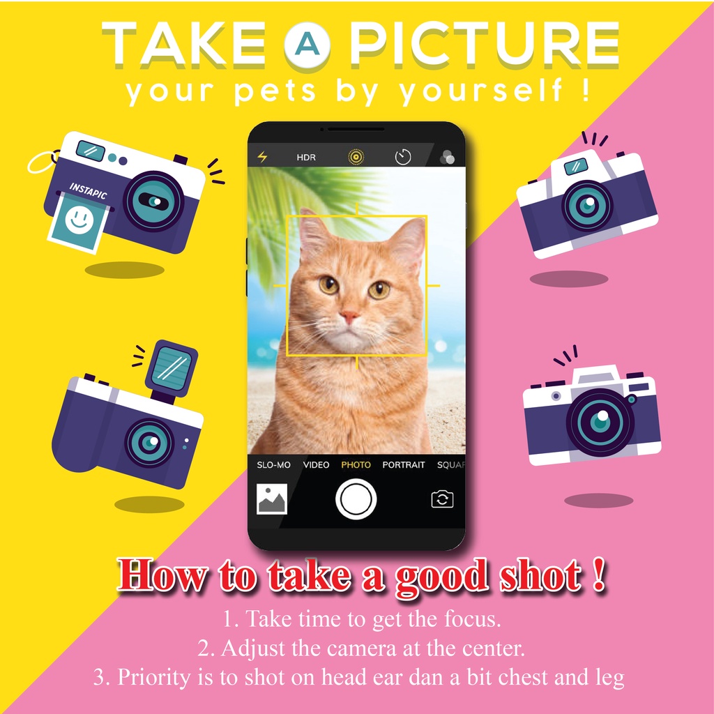 Premium IC Kucing, Identity Card Kucing, Kad Pengenalan Kucing Paling ...