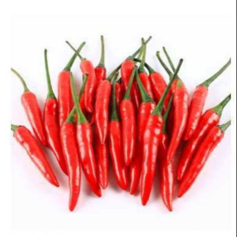 Chilli MERAH / Cili Api (kecil) (100gm) | Shopee Malaysia