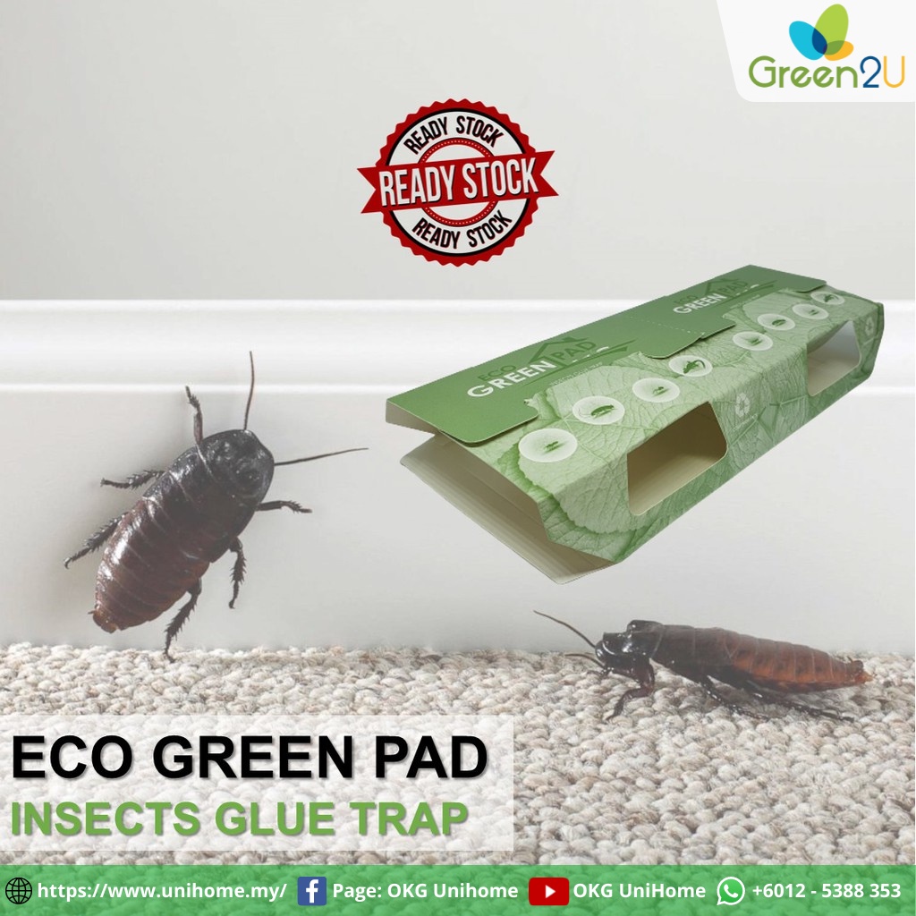 Eco Green Pad (Insects Glue Trap) | Shopee Malaysia