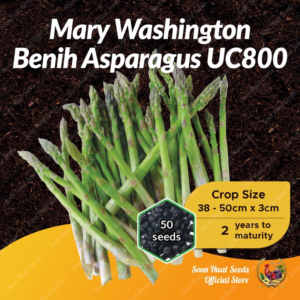 [Small Pack] UC800 Benih Asparagus Soon Huat Seeds | Shopee Malaysia