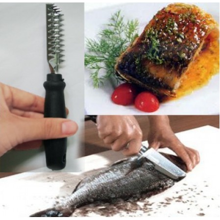 Fish SCALE TOOL (Large) | Shopee Malaysia