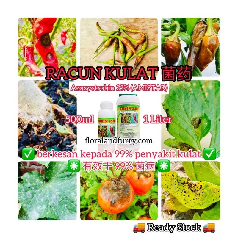 Tobin 25SC Racun Kulat Fungicide Azoxystrobin 25% Amistar Antraknos ...