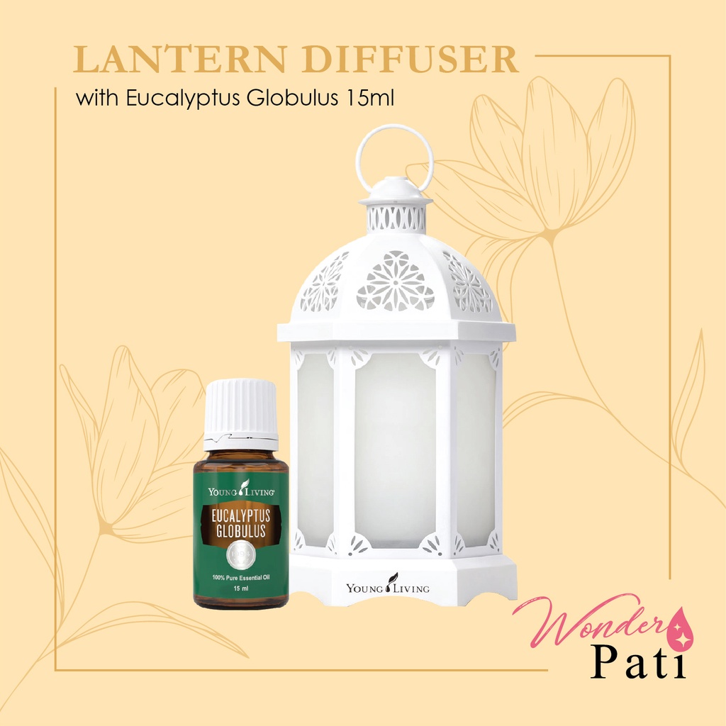 ORIGINAL Young Living Diffuser (Feather the Owl/ AromaGlobe / Lantern ...