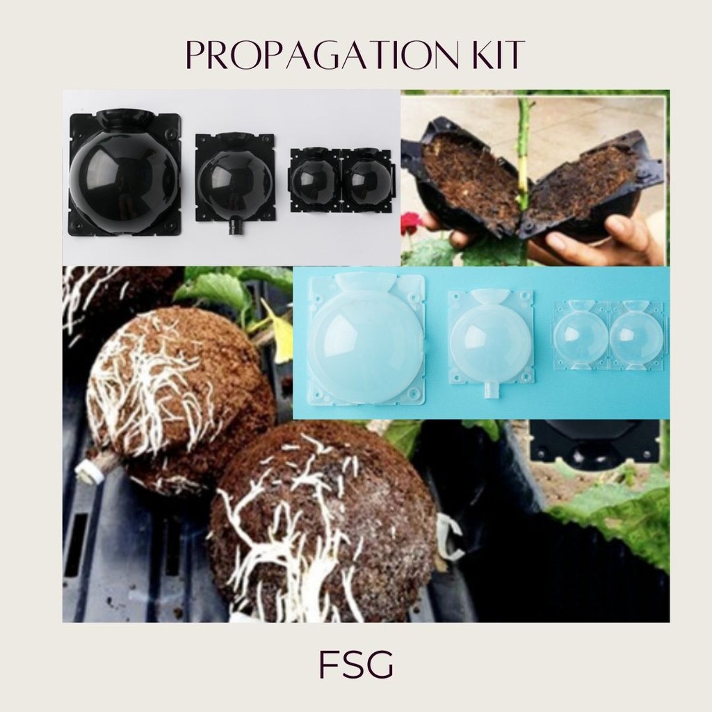 🔥READY STOCK🔥Plant Propagation High-Pressure Box Cutting Grafting ...