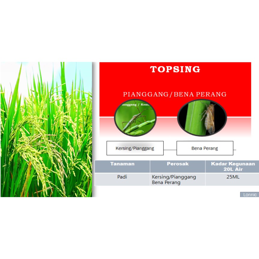 Produk Mengatasi Pianggang/Kersing dan Bena Perang Padi 500ML | Shopee Malaysia