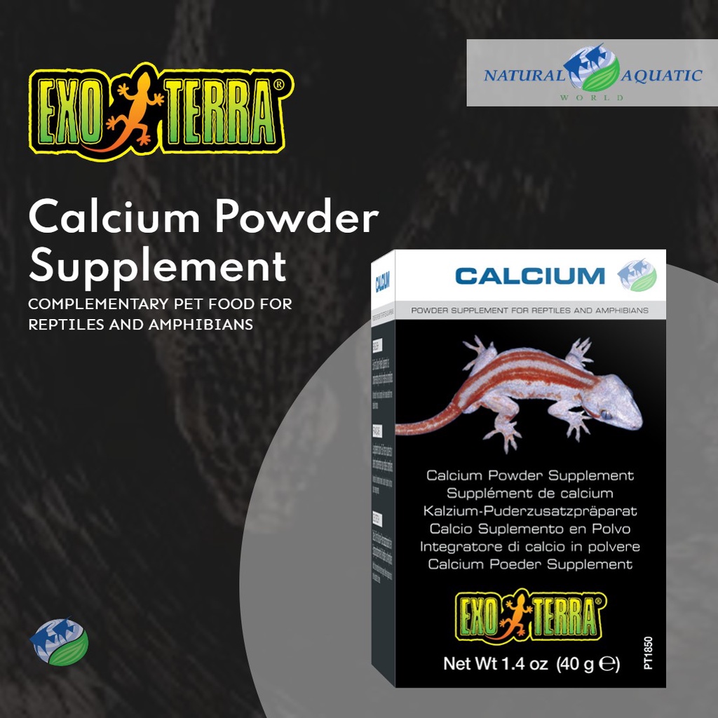 EXO TERRA Calcium Powder Supplement (40g) for Reptiles and Amphibians ...