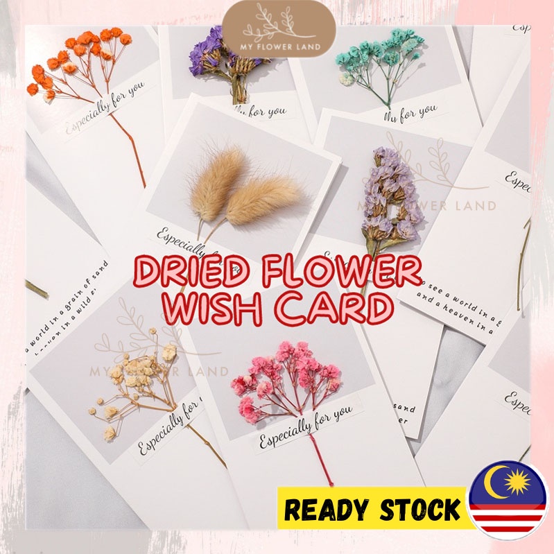 Dried Flower Gift Card Dry Card Greeting Card Wish Card Birthday Real ...