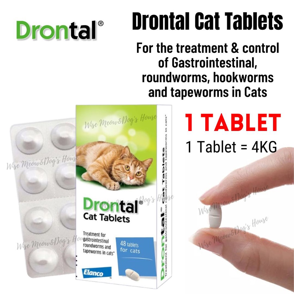 Drontal Cat Deworming Tablet Penghapus Cacing Kucing (1 Biji/Tablet ...