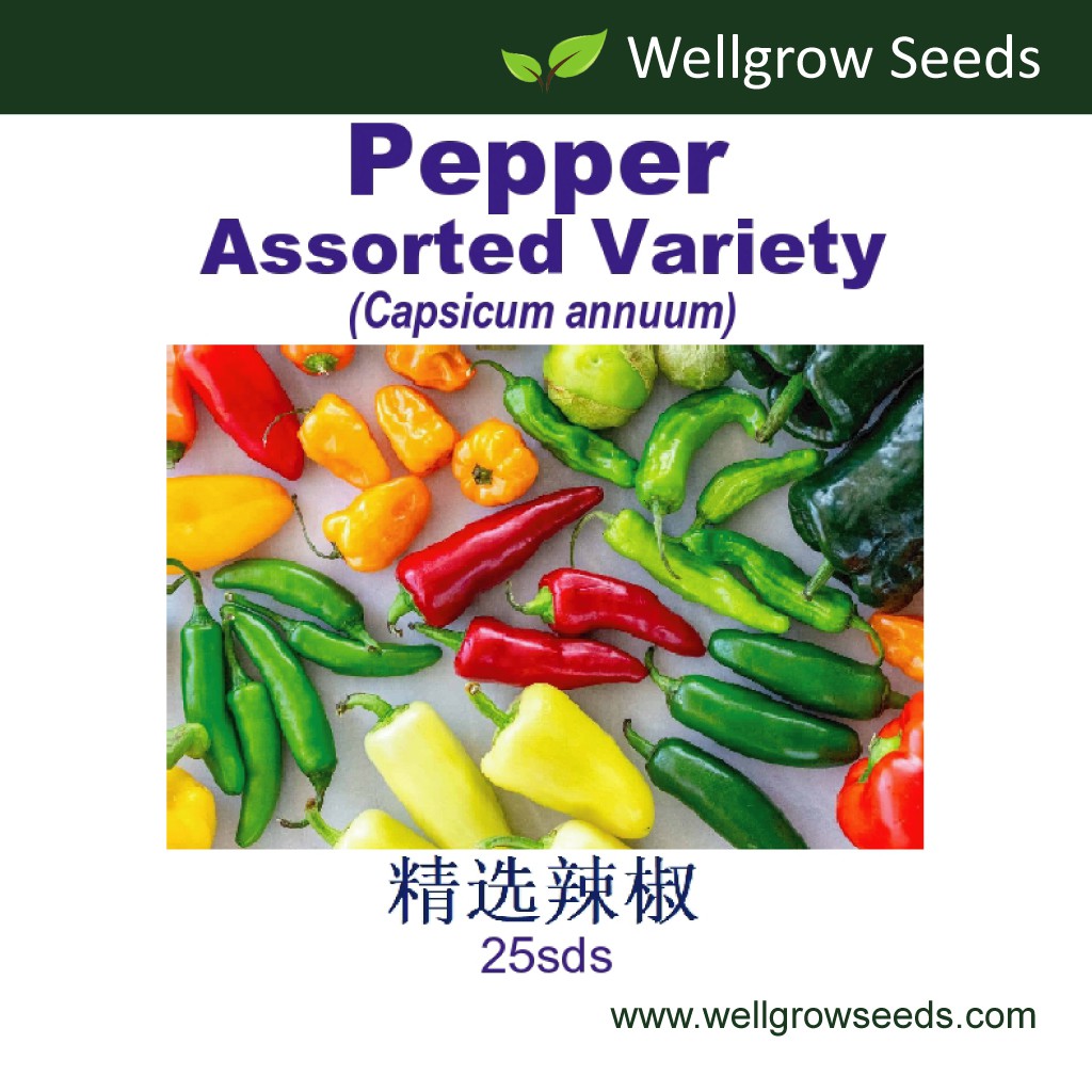 Pepper Assorted Variety (25sds) 精选辣椒 Vegetable Seeds Wellgrow Seeds ...