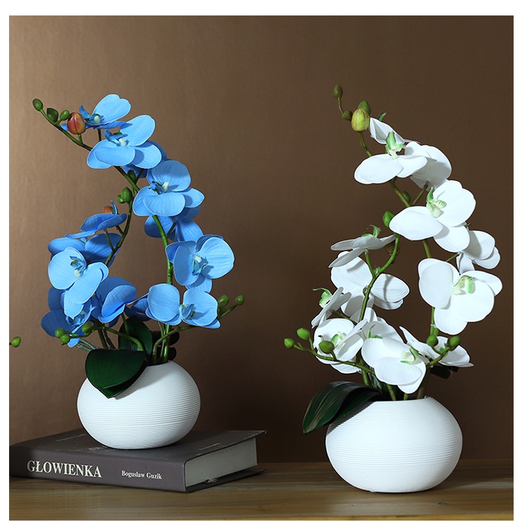 3 Bunch White /Blue/ Phalaenopsis/Orkid/Putih/Bunga Hiasan/Rumah ...