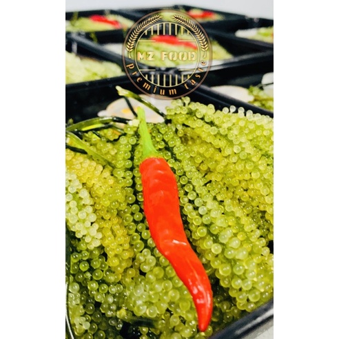 LATOK FRESH 100GRAM (BUY 3 FREE 1) | Shopee Malaysia
