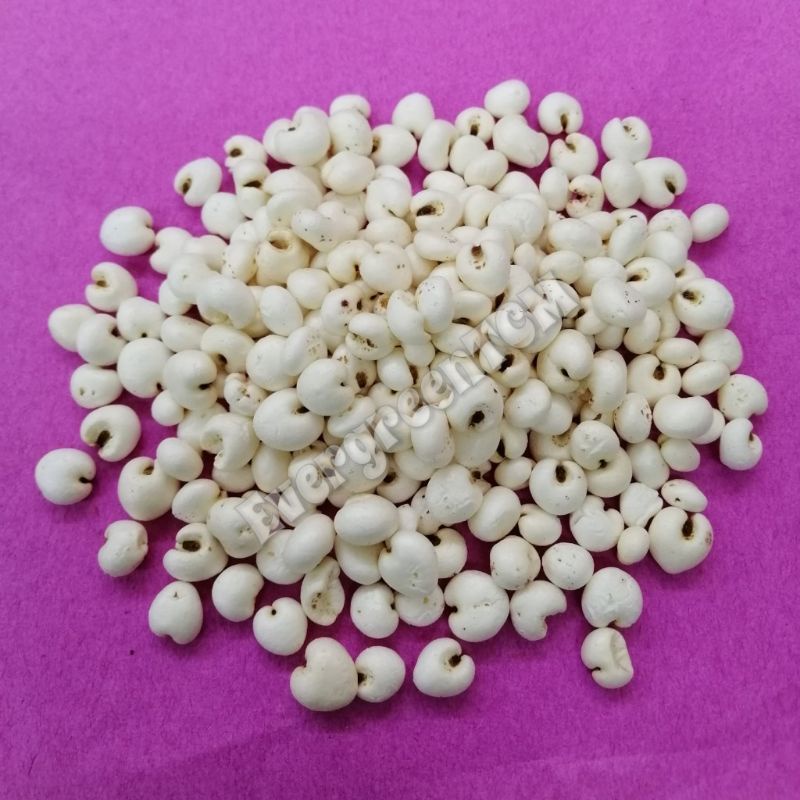 【Cooked】 Chinese Barley 薏仁 30g 中国熟薏米 30g (Coix Seed) | Shopee Malaysia