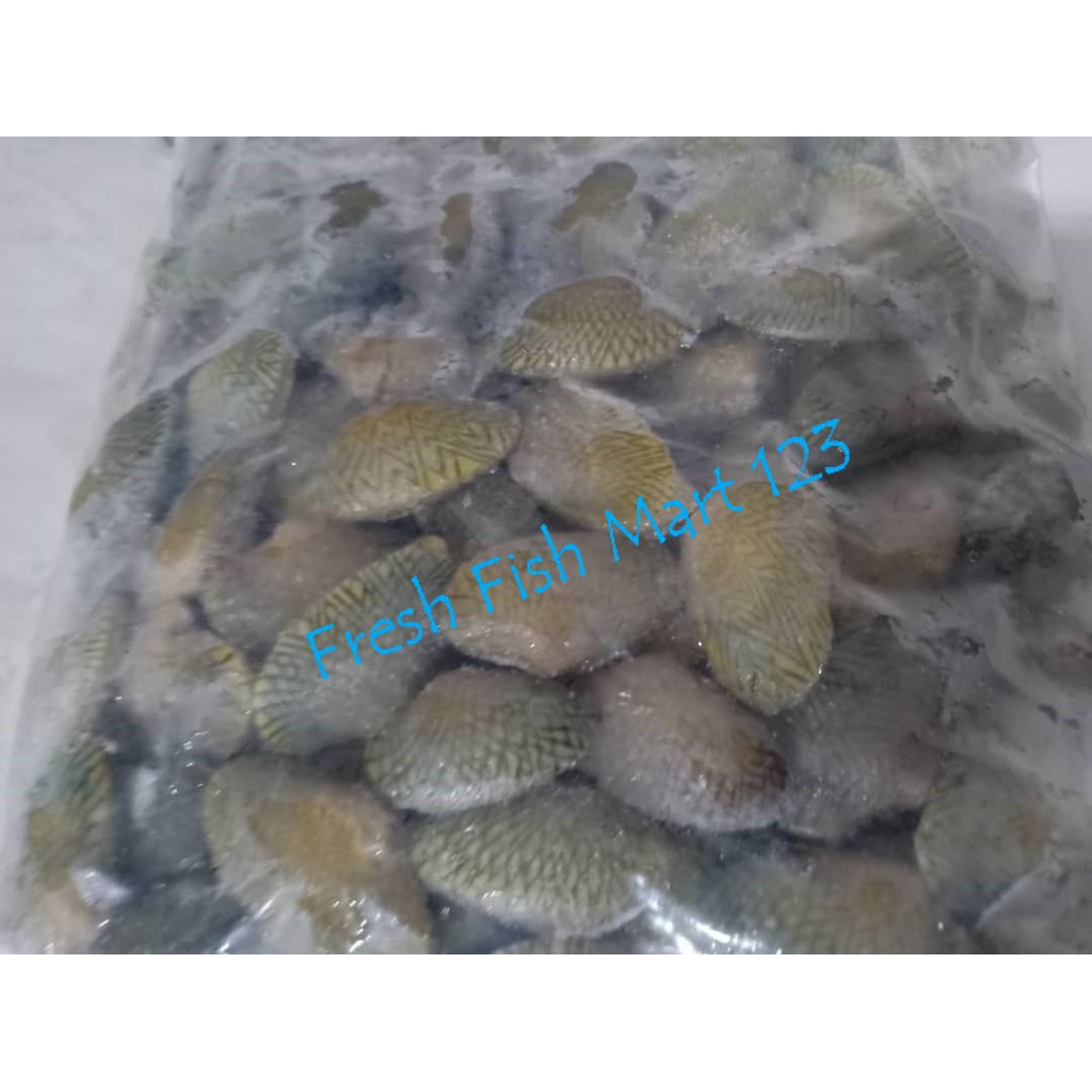 [Frozen] Lala / Clam / 花啦啦 （800g-900g per pack) | Shopee Malaysia