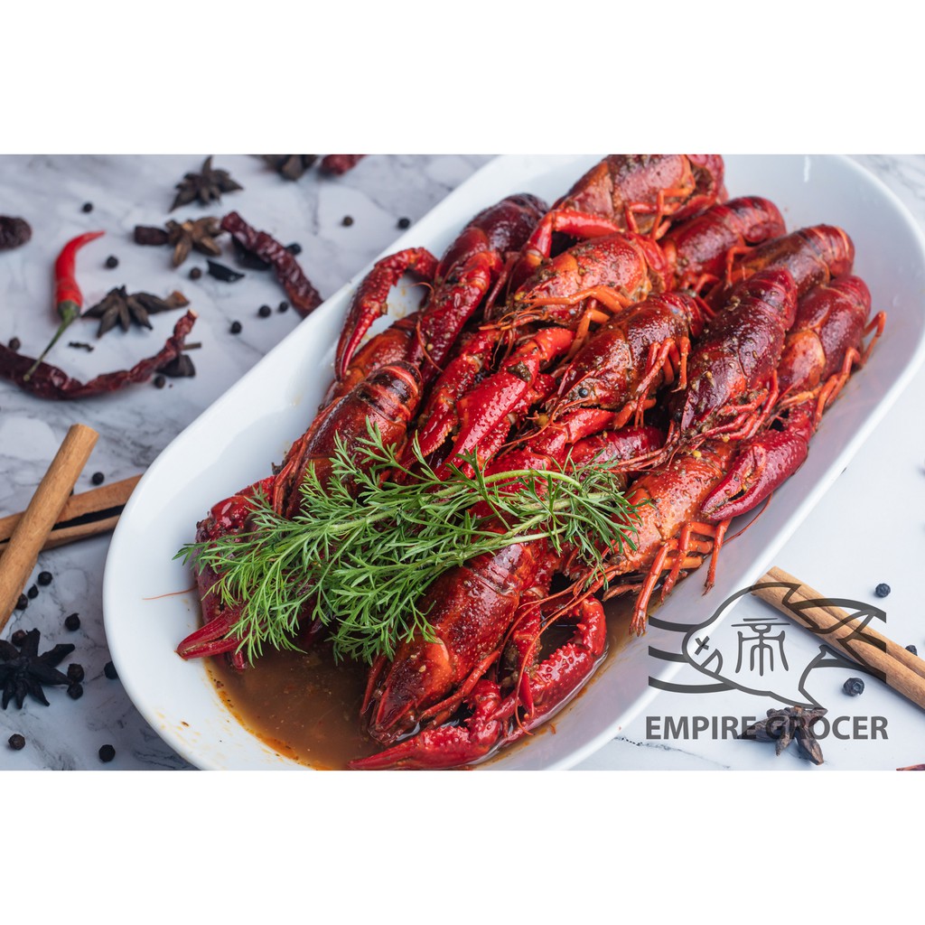Mala Mini Lobster (Crayfish) | Shopee Malaysia