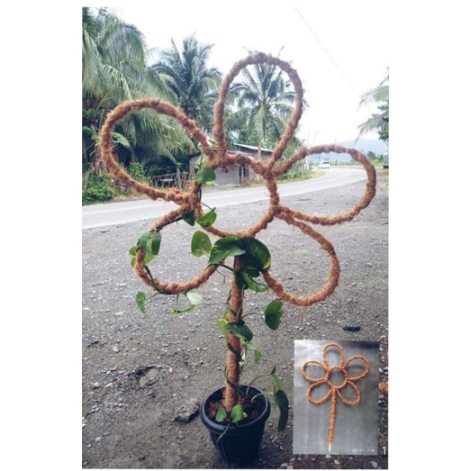 coco pole flower design/ coco pole/ coco pole for plants | Shopee Malaysia