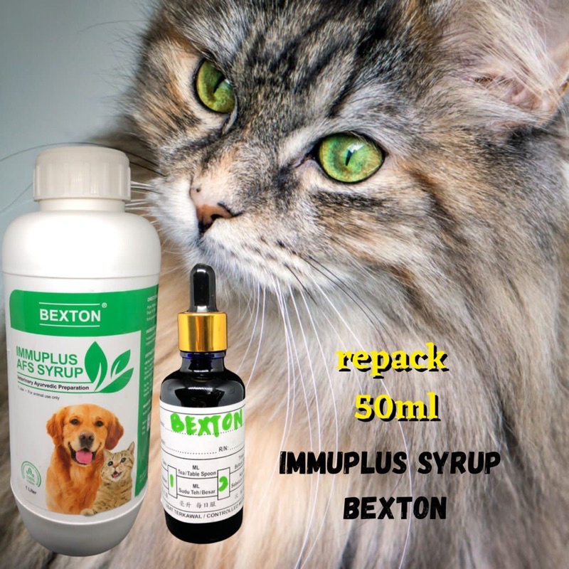 IMMUNE BOOSTER FOR CATS and DOGS (50ml REPACK SIZE)vitamin kucing ...