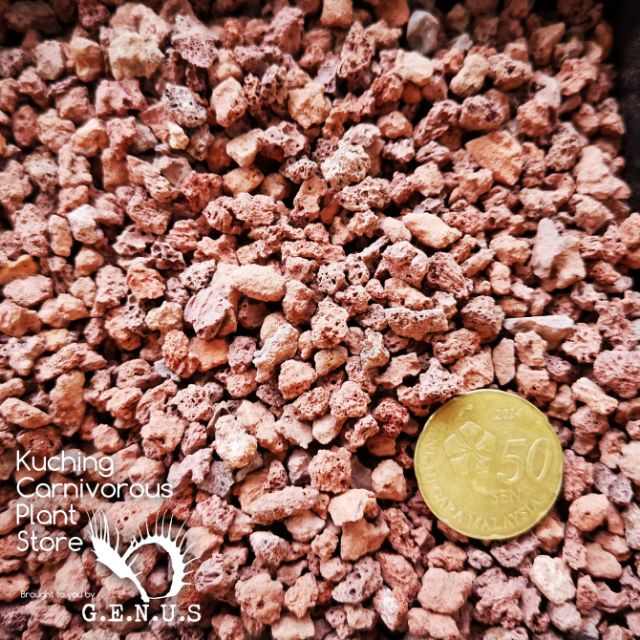 Red Volcanic Rock 红火山石 3 ~ 6mm ( Succulent Soil / Topping / Mineral ...