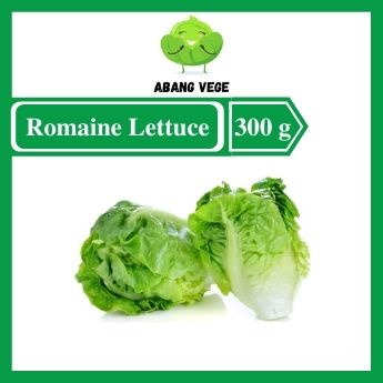 Yau Mak Tam 香旦 油麦旦 Baby Romaine 400g +- Cameron Highlands Fresh ...