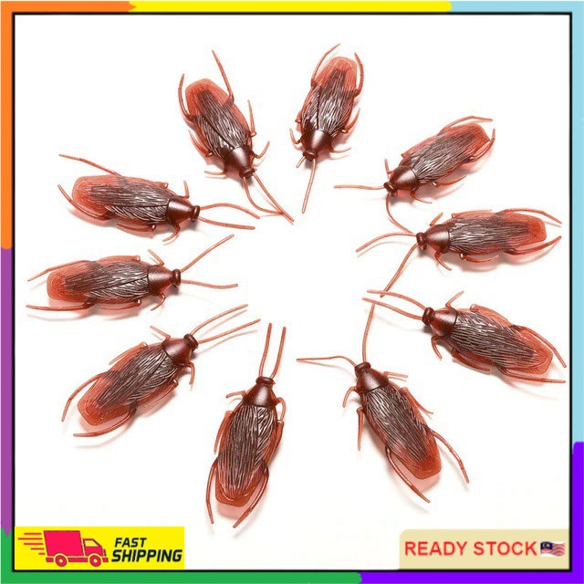 🔺QUALITY🔺 Rubber Cockroach Lipas Palsu Mainan Toy | Shopee Malaysia