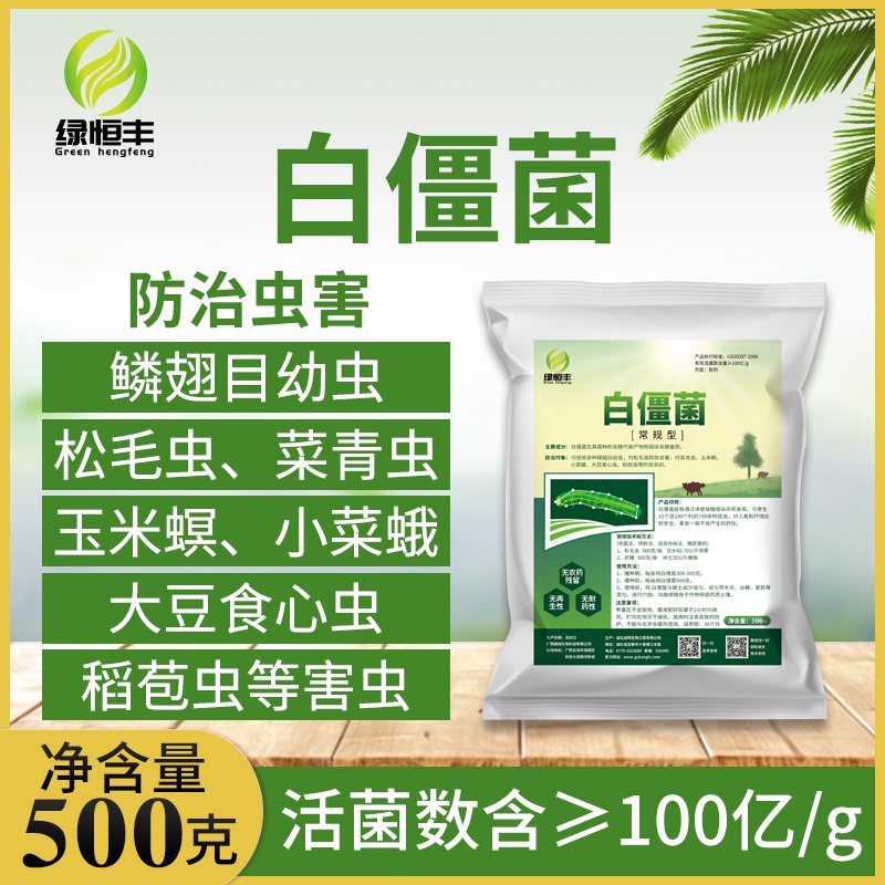 Beauveria Bassiana Caterpillars Kawalan Ulat Beluncas Organik Pest ...