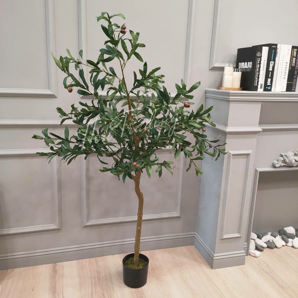 Pokok hiasan viral / pokok zaiton tiruan / artificial olive tree (ready ...