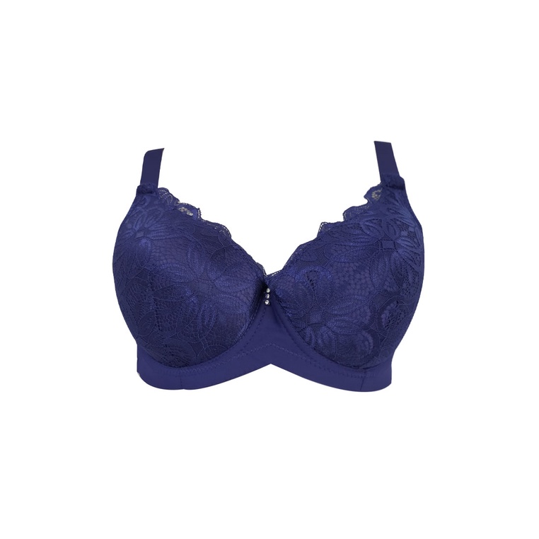 Hari-Hari - EV FASHION Women's Bra D Cup Wired Baju Dalam Wanita Ada ...
