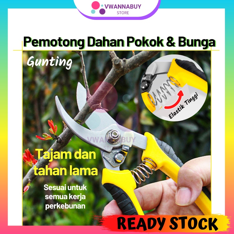 Pemotong Dahan Pokok Bunga Gunting Pokok Bunga Nonslip Handle Plant ...