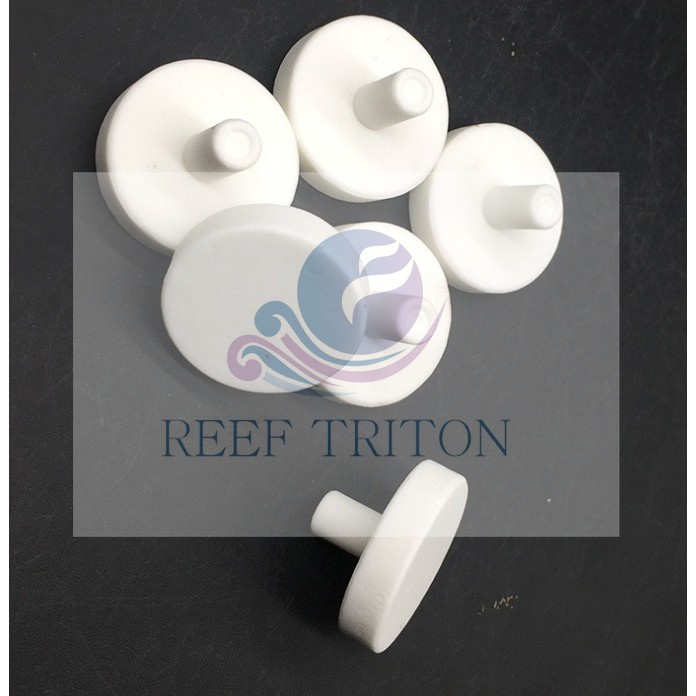 25mm Coral Frag Plug for Marine Aquarium Coral Holder mount base coral ...