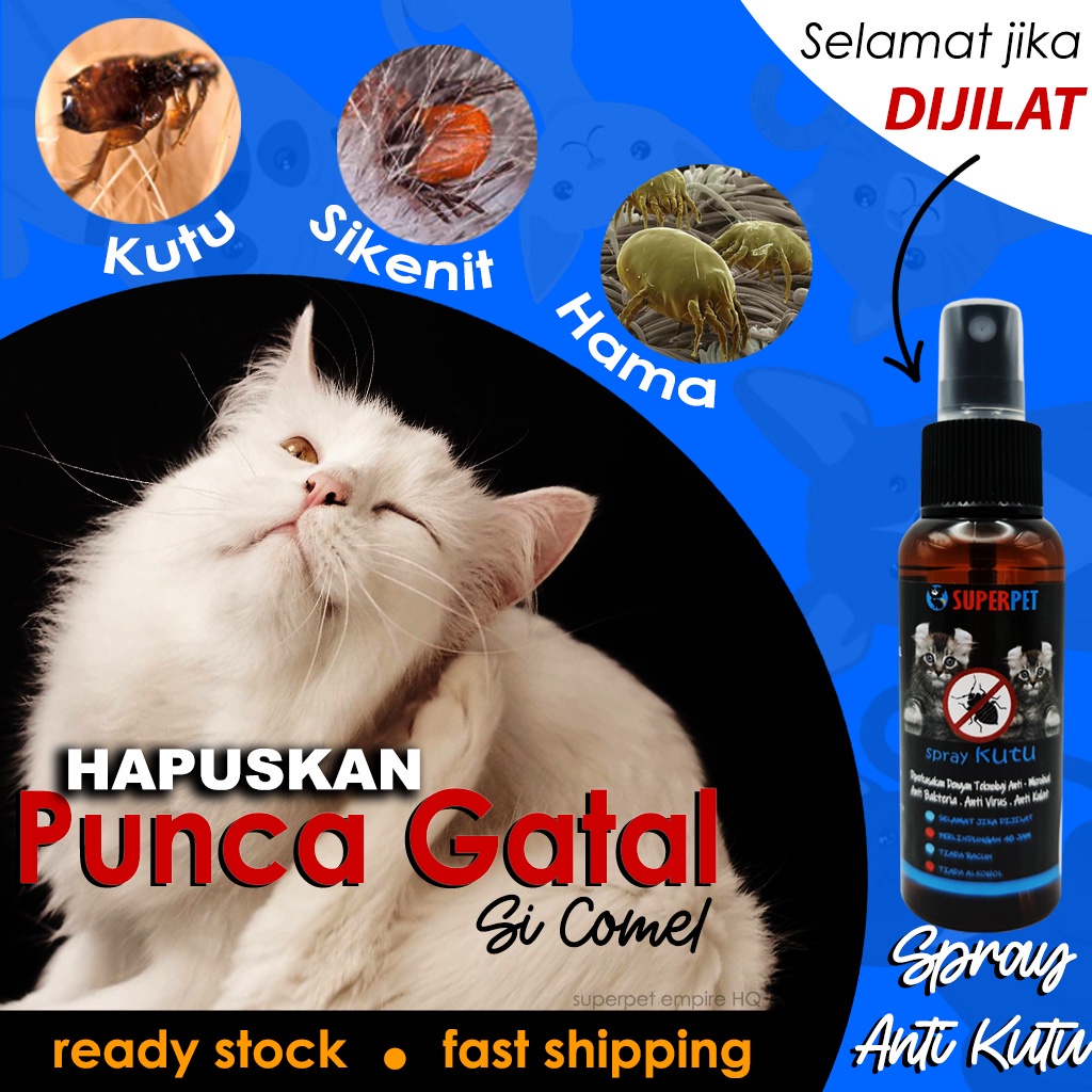 UBAT KUTU KUCING ANJING ARNAB BINATANG PET BINATANG CAT SIKENIT HAMA ...
