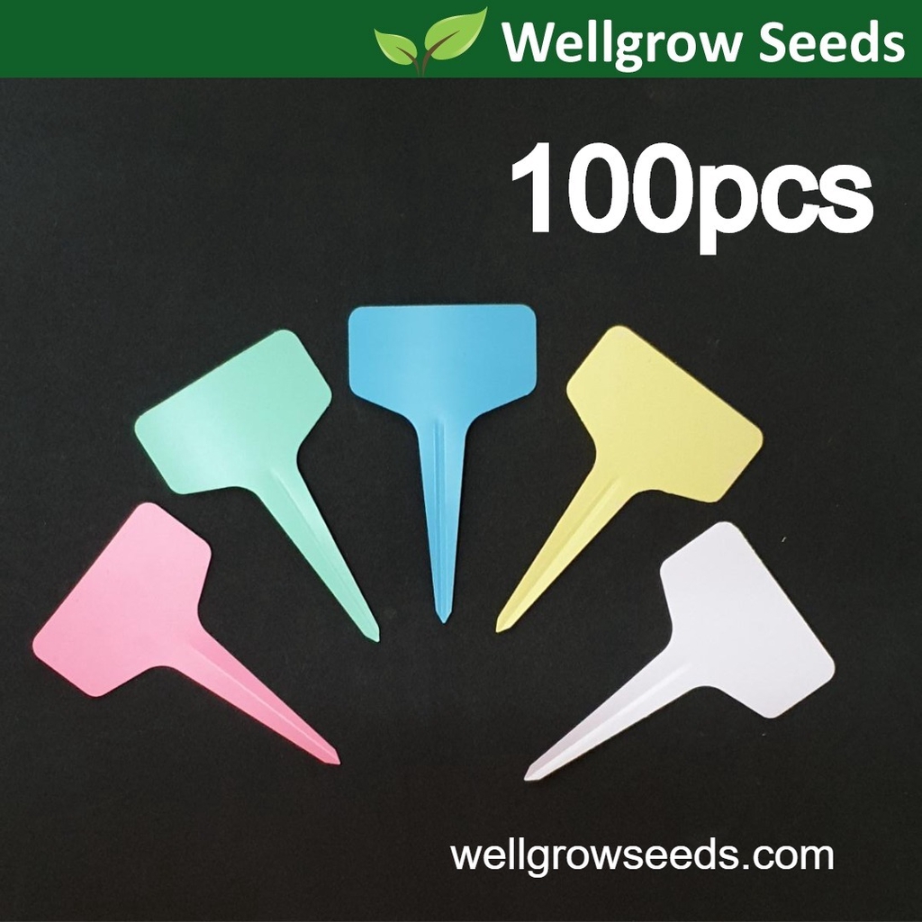Plant Tag / Seedling Tray Label : SL11 (100pcs) | Shopee Malaysia