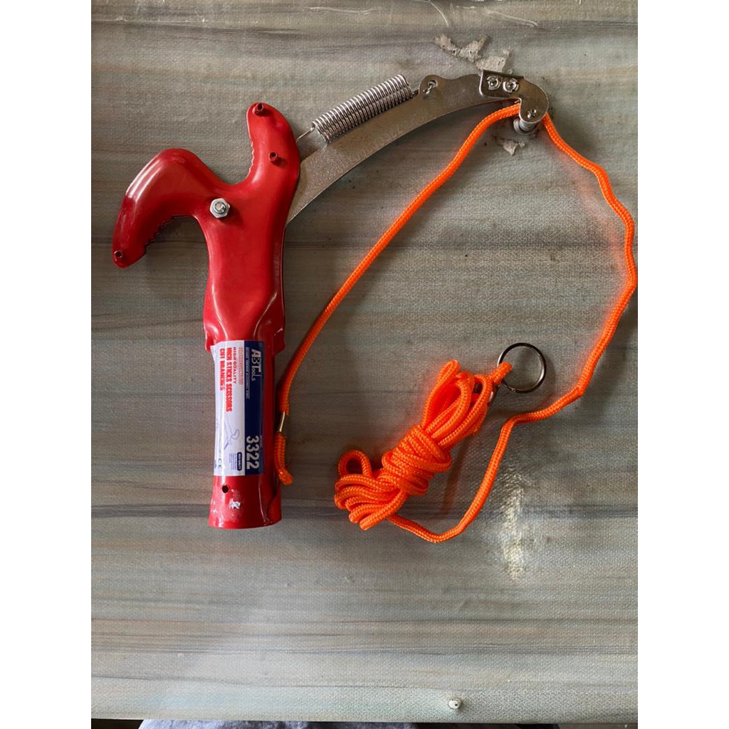 2 Way Rambutan Cutter Tree Pruner Trimmer Shear Rambutan Shear Gunting ...