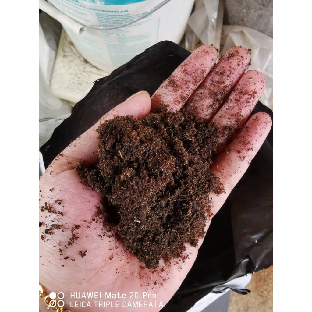 TANAH PEATMOSS UNTUK SEMAIAN (1KG) | Shopee Malaysia