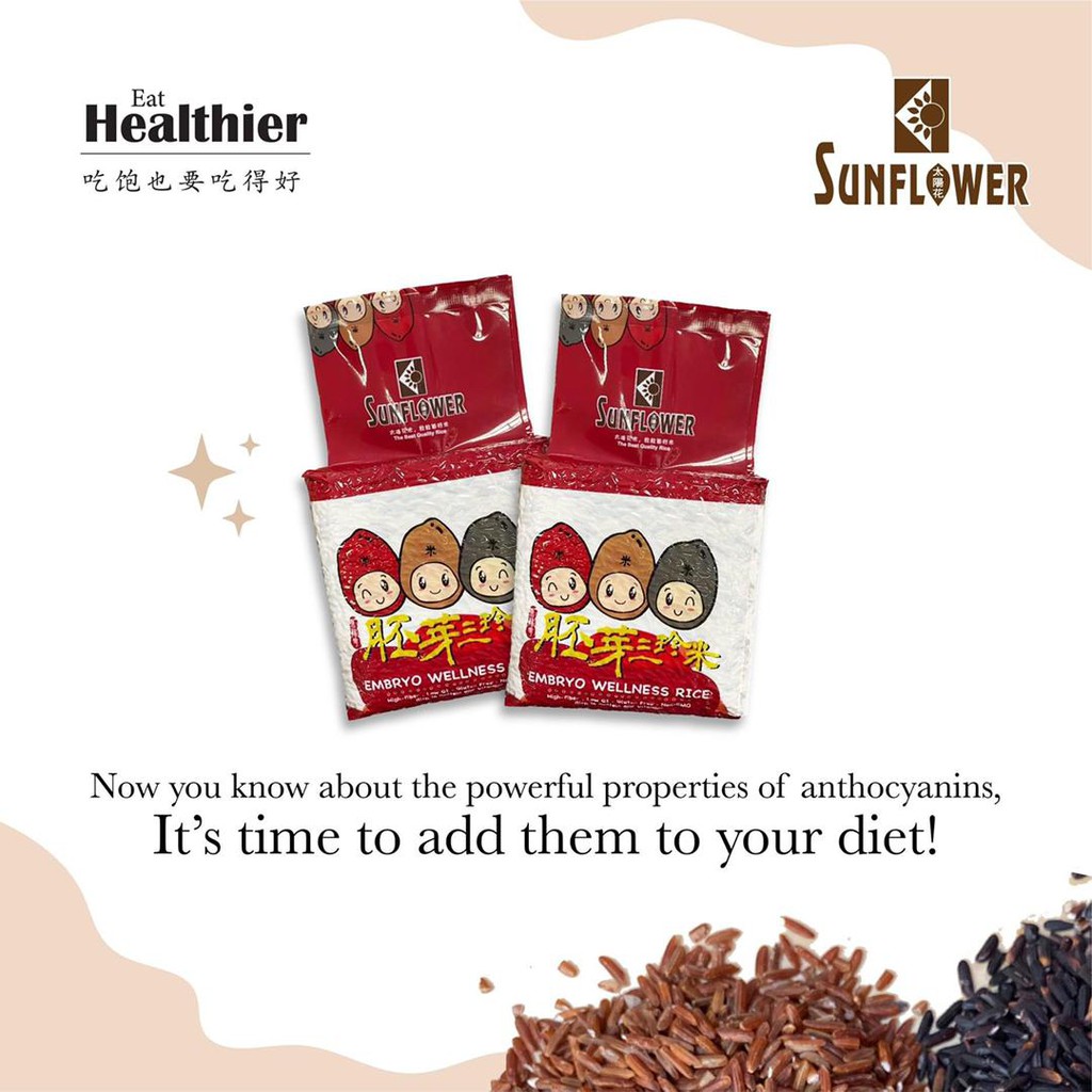 Sunflower Embryo Wellness Rice 1kg | Shopee Malaysia