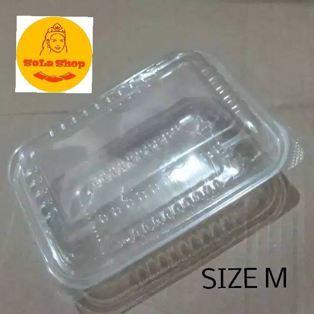 NEW!!! @10 pcs Clear Plastic Rice Boxes (Clear Foodpack) Tomato Brand ...