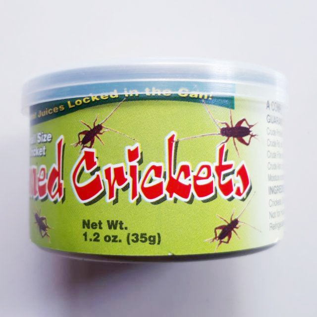 FISHER CANNED CRICKETS CENGKERIK KERING TIN 35G / 50G | Shopee Malaysia