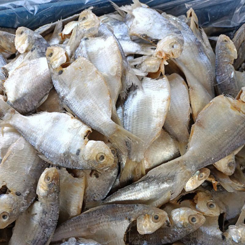 Ikan Selangat Kering/ikan kekek 350g | Shopee Malaysia
