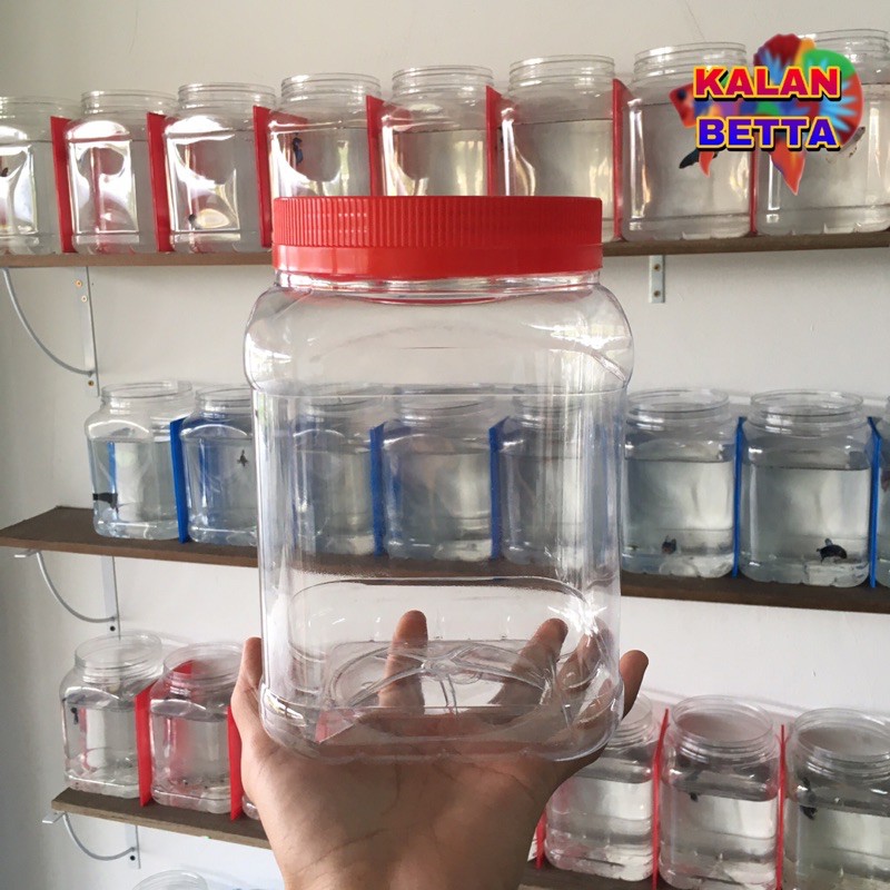 SU tank for betta (kalanbetta) | Shopee Malaysia