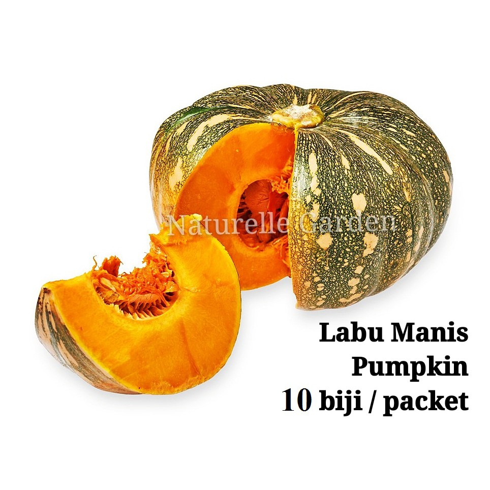 Benih Buah Labu Manis Pumpkin Seed Benih Sayur Vegetable Seed 10 biji ...