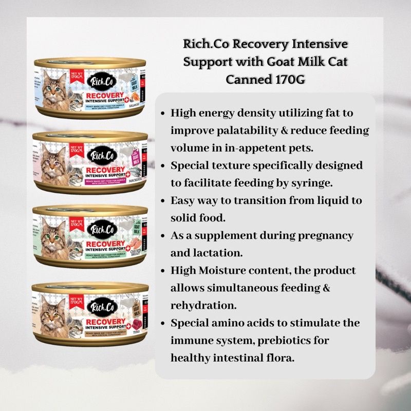 Rich.Co Recovery Intensive Support cat wet food 210g | Shopee Malaysia