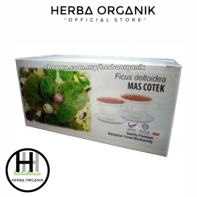 ℍ𝕖𝕣𝕓𝕒𝕆𝕣𝕘𝕒𝕟𝕚𝕜 TEH MAS COTEK 30 UNCANG (FICUS DELTOIDEA) | Shopee Malaysia