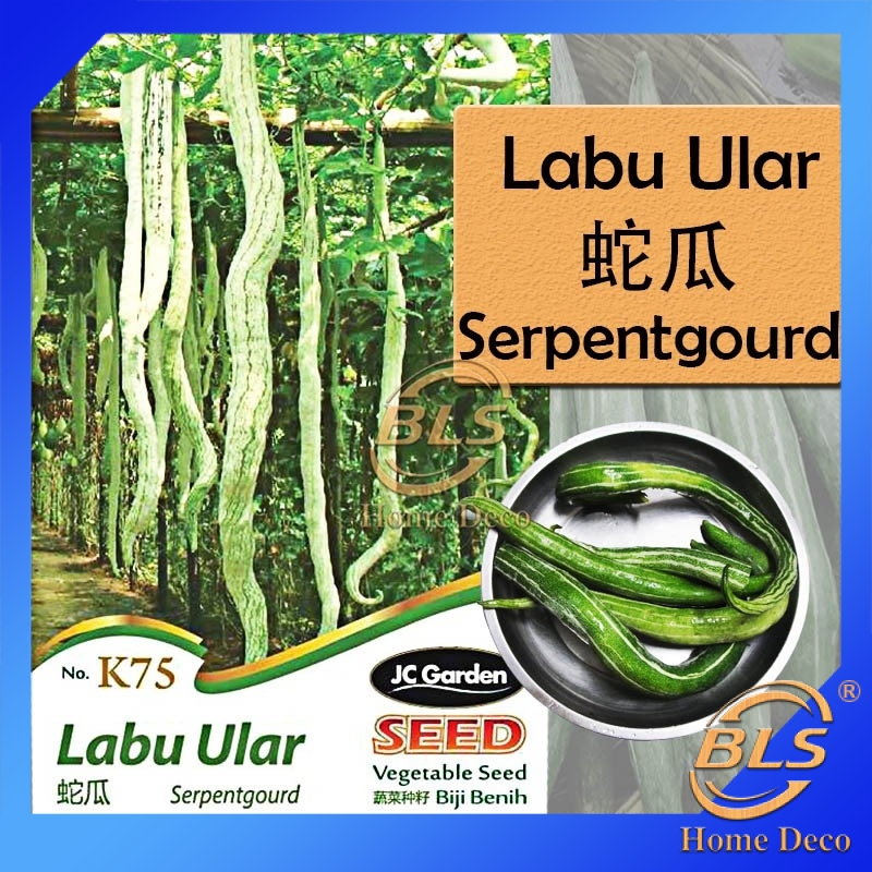 K75 SERPENTGOURD JC GARDEN VEGETABLEB SEED BIJI BENIH LABU ULAR 蛇瓜种子 ...