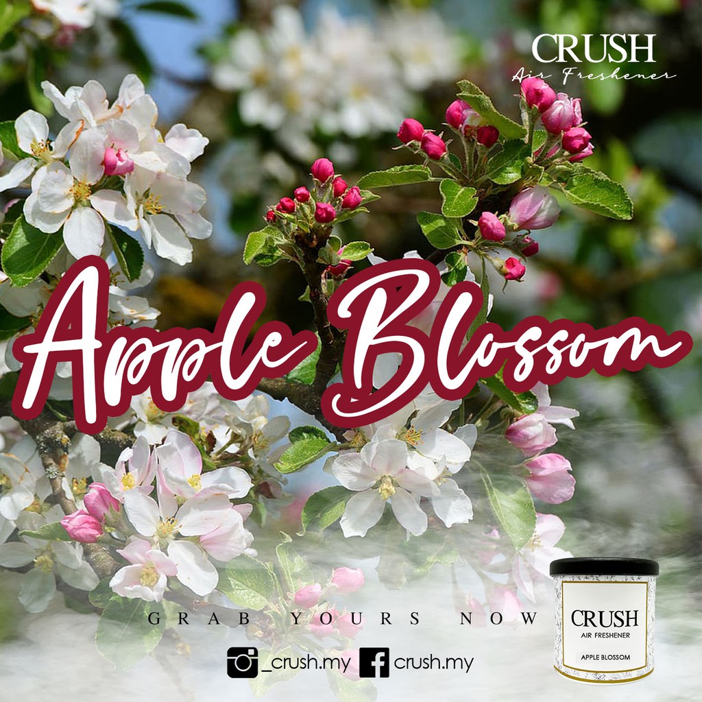 PERFUME TIN FIBER PEWANGI KERETA CAR BILIK TIDUR AIR FRESHENER ...