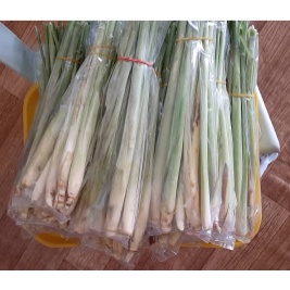 Serai Segar(Diambil Terus Dari Kebun) | Shopee Malaysia