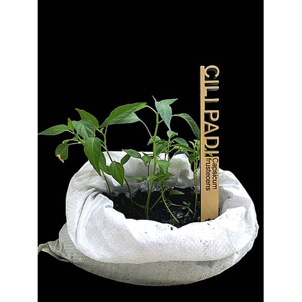 Plant Name Tag / Tag Nama Tanaman Pokok Bunga Sayur Buah ( +/- 1.8cm X ...
