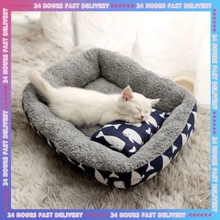 Buy cat bed Online With Best Price, Jul 2024 | Shopee Malaysia