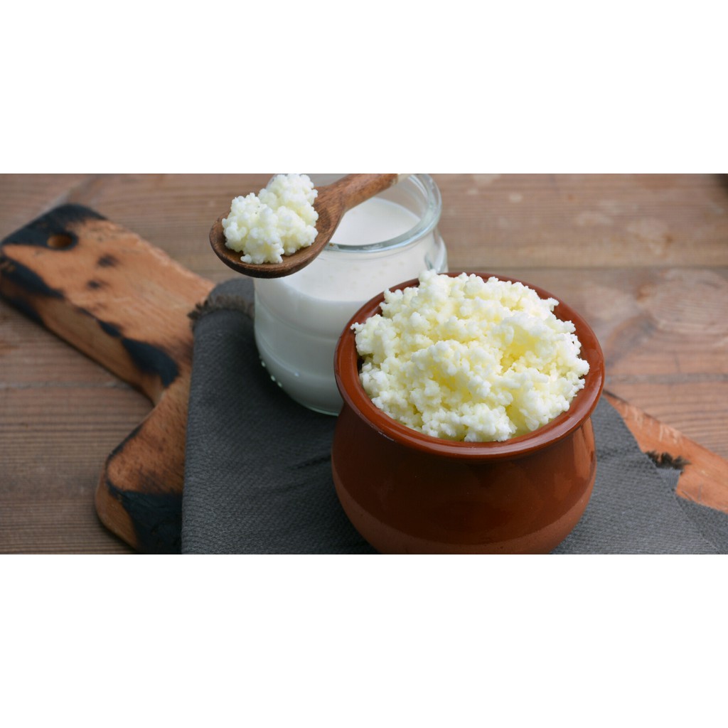 Active Milk Kefir Grains(Ship in a glass bottle & Guide list provided ...