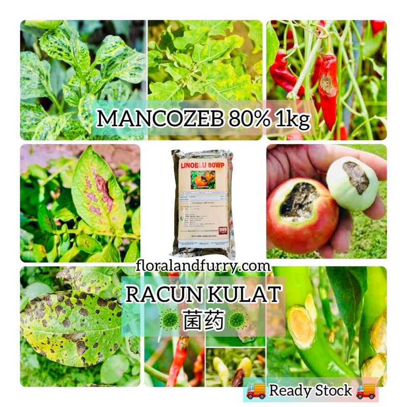 Linoblu 80WP 1KG Mancozeb Racun Kulat 80 Kencozeb Carbendazim Fungicide ...