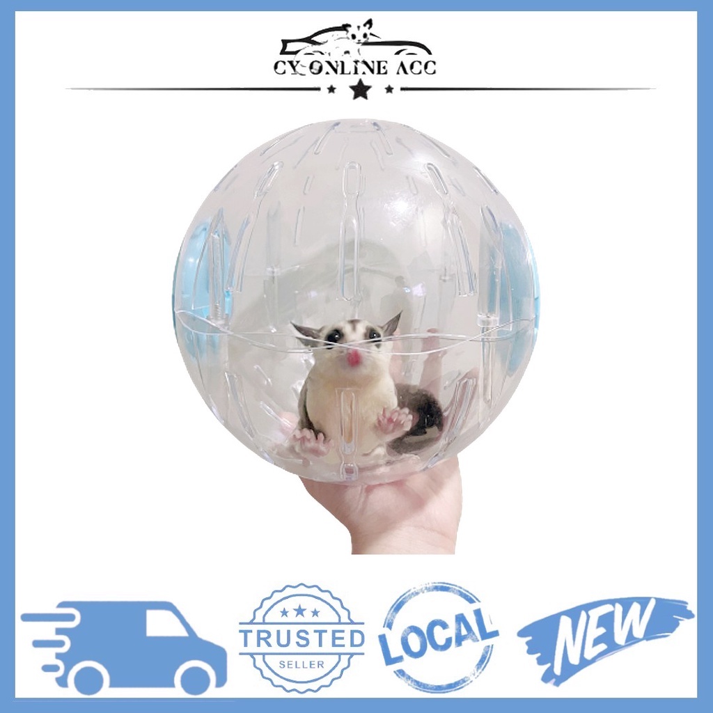 Malaysia (20CM Diameter) Sugar Glider Hedgehog Hamster Guinea Pig ...